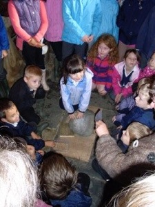 The Bake Your Lawn Project